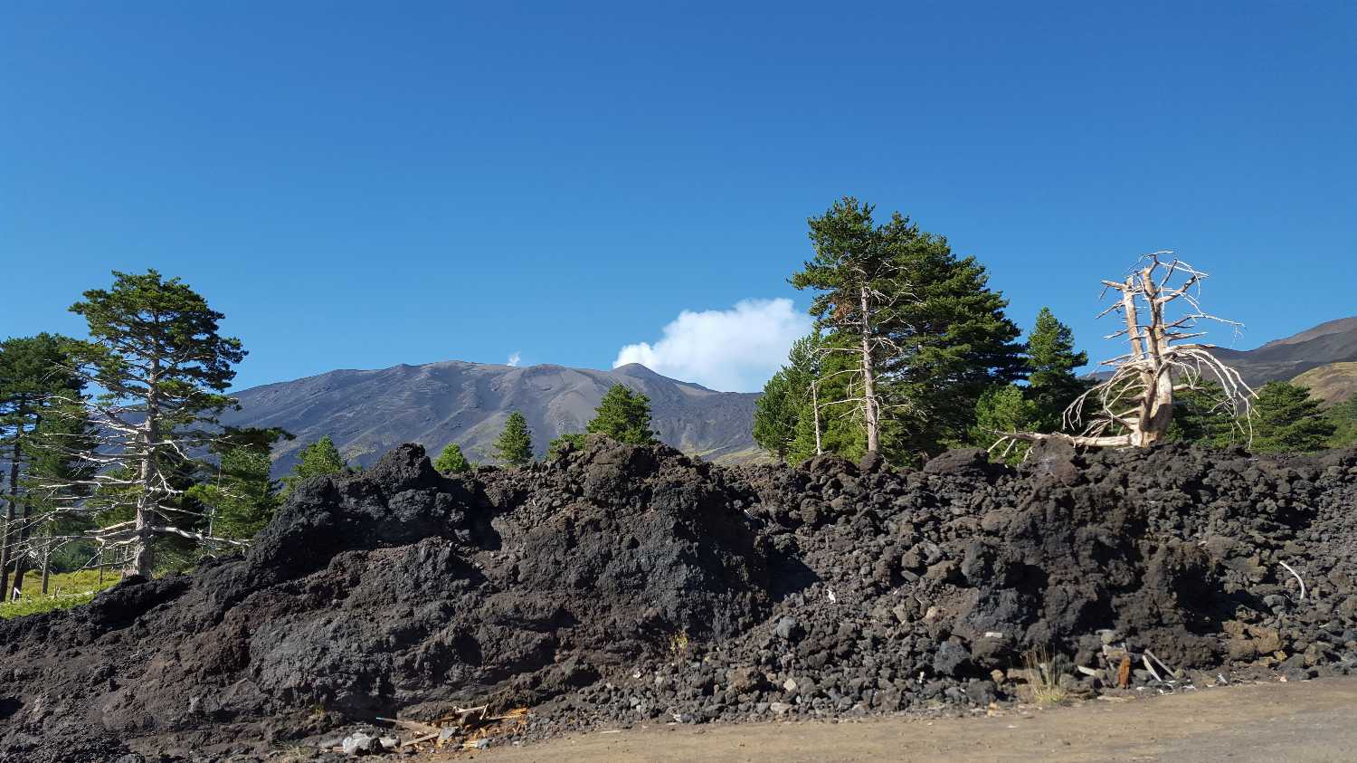 Full Day Tour to Etna Volcano from Catania - Tour of Sicily